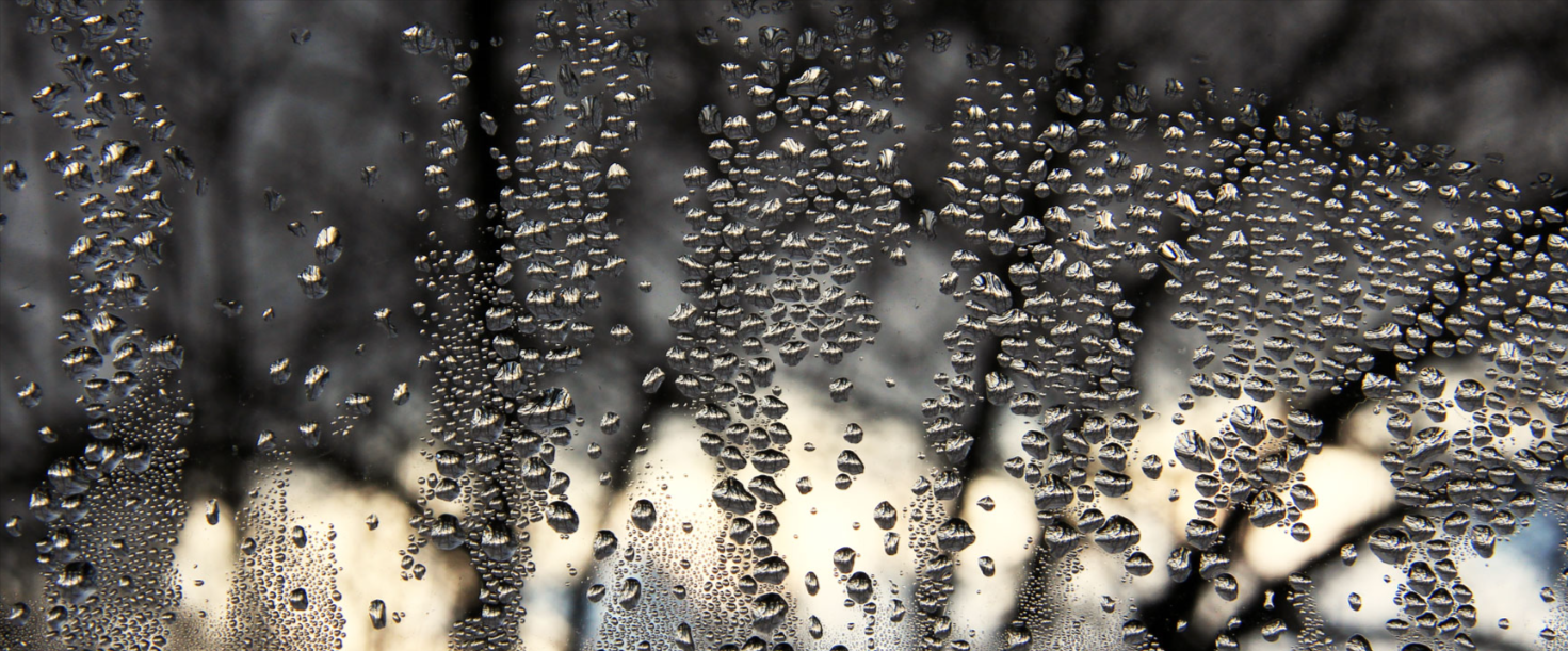 Top 10 Facts About Condensation - Frisky Story