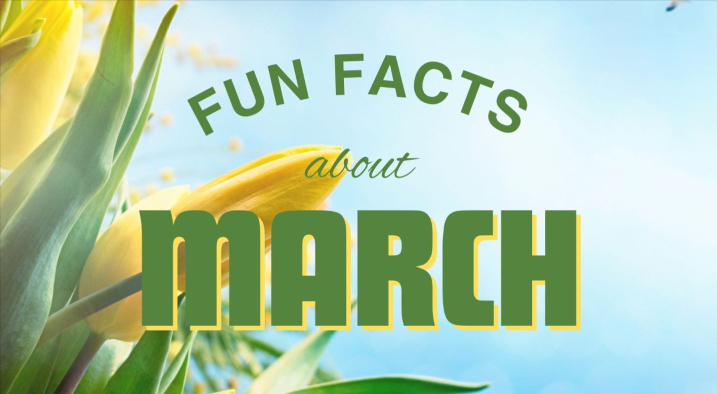 Top 10 Fun Facts About the Month of March - Frisky Story