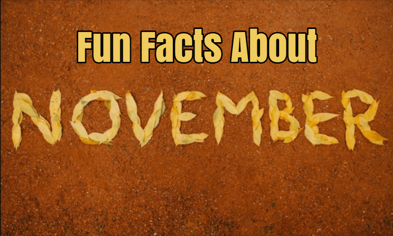 Top 10 Fun Facts About the November Month - Frisky Story